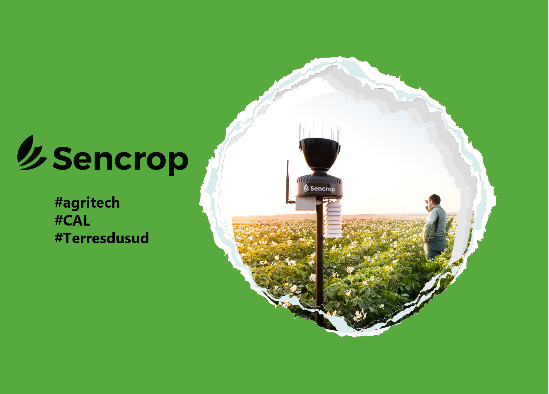 Sencrop Lance Une Expérimentation Avec Les Coopératives Agricoles Cal Et Terres Du Sud Afin De